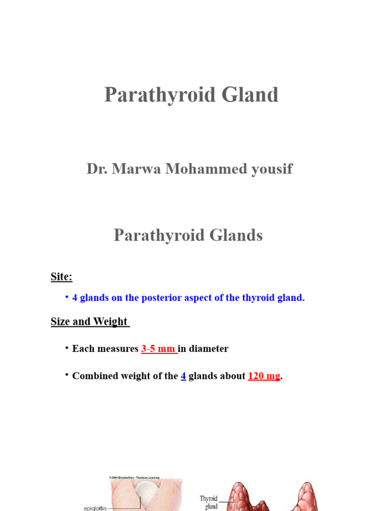 Parathyroid Hormones | PDF | Calcium In Biology | Cell Signaling