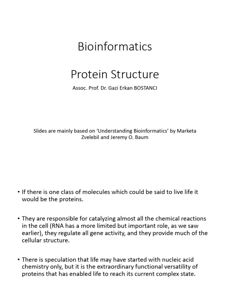 Week2 | PDF | Protein Structure | Proteins