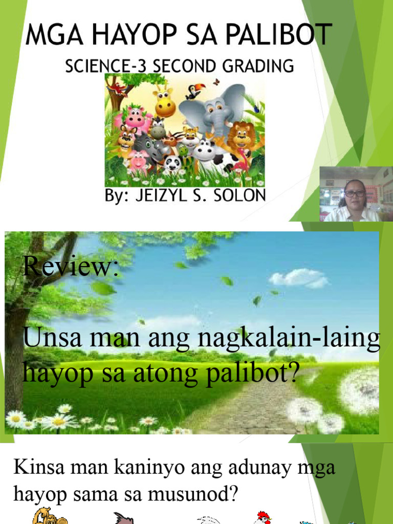 Mga Hayop Sa Palibot... Cot F | PDF