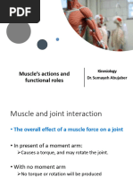 MMT Grading Scale | PDF