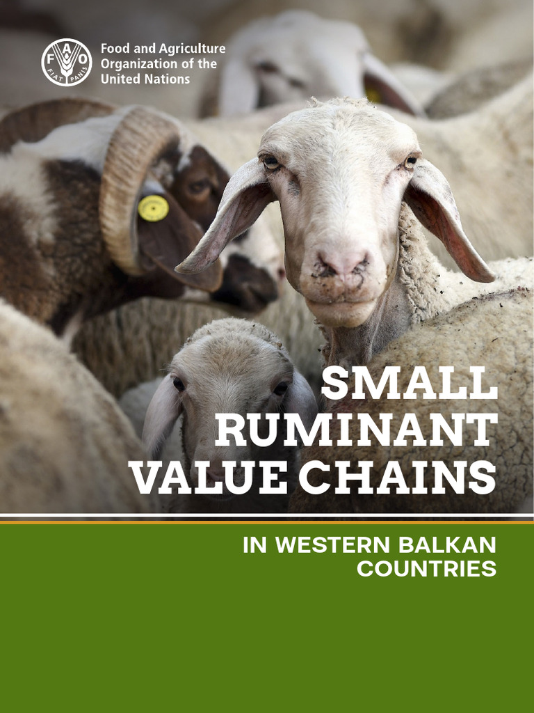 Small Ruminant Value Chains in Western Balkan Countries | PDF | Lamb ...