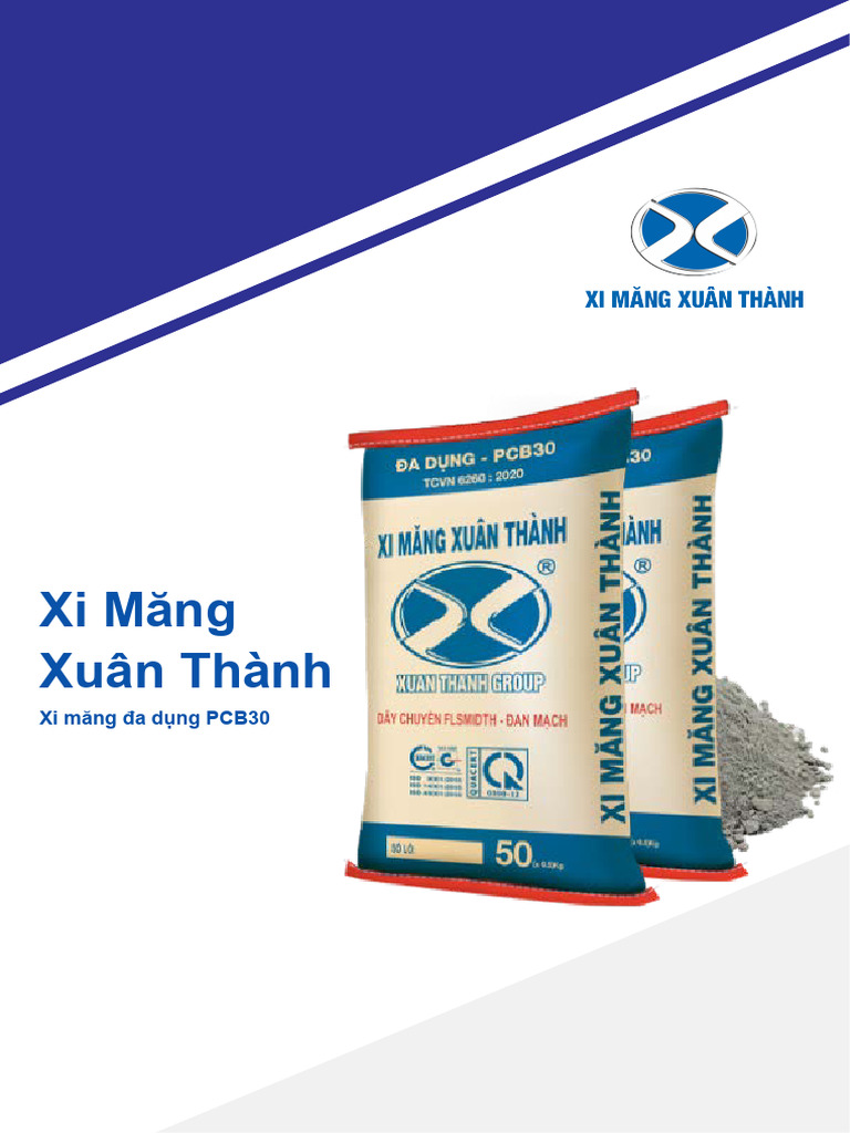 Xi Mang Xuan Thanh | PDF