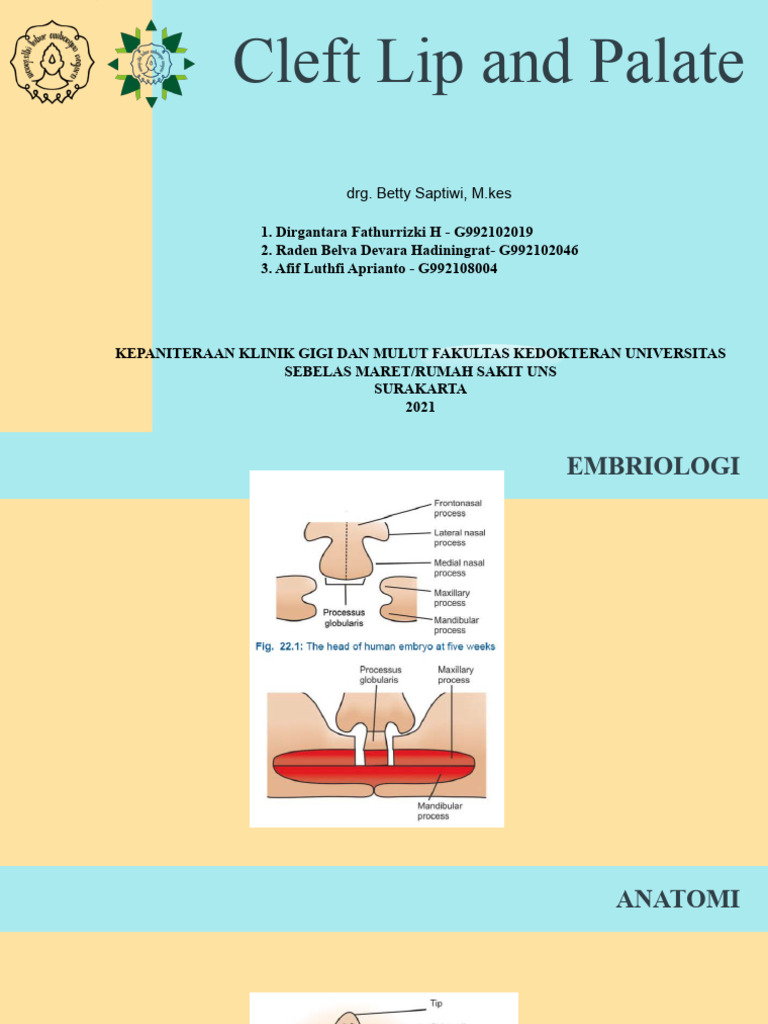 Cleft Lip and Palate | PDF