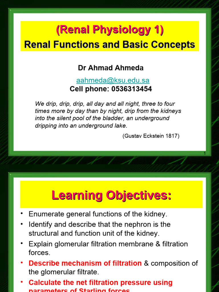 1-Renal Physiology 1 (Renal Functions & Basic Concepts) | PDF | Kidney | Animal Anatomy