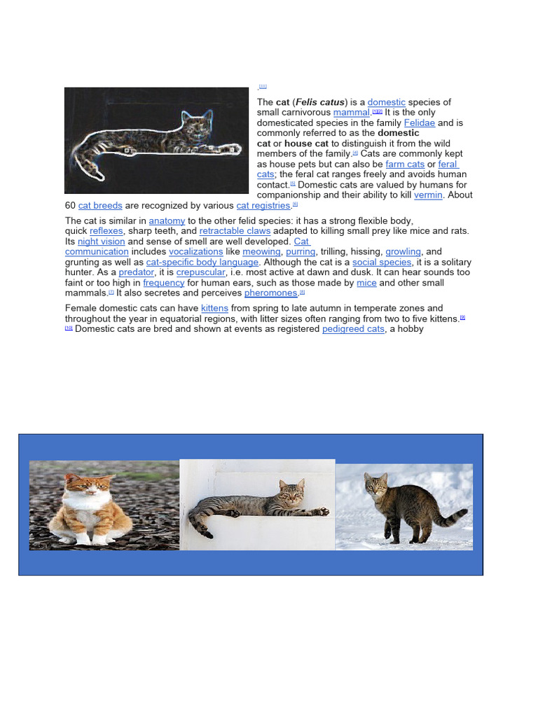AWesone Cats! | PDF