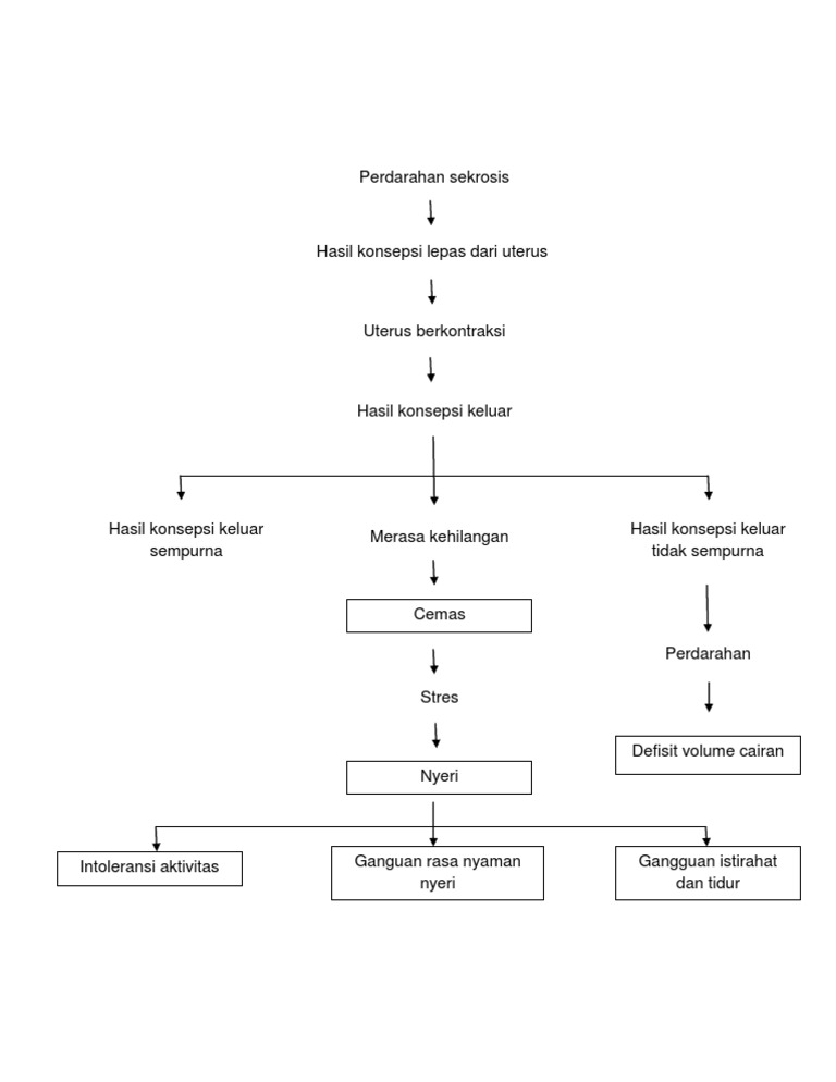 Pathway Abortus | PDF