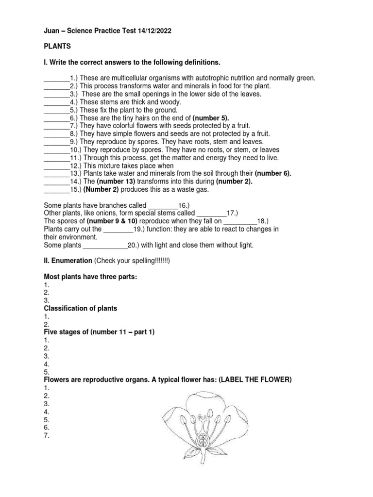 Practice Test - Plants and Animals | PDF | Plants | Botany
