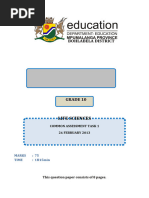 Gr.11 Topic Test - Excretion | PDF | Kidney | Urinary System