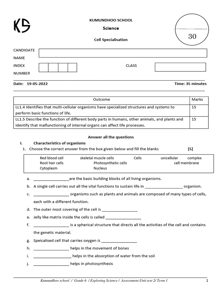 Science - Cell Specialization | PDF | Cell (Biology) | Life
