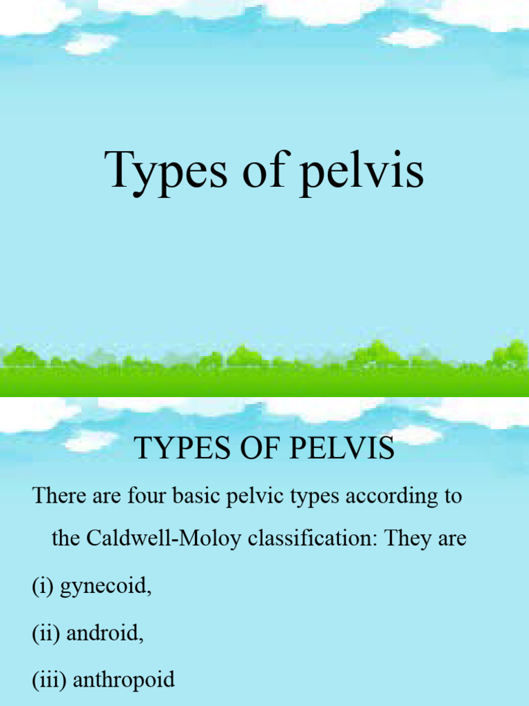 Types of Pelvis | PDF | Pelvis | Anatomy