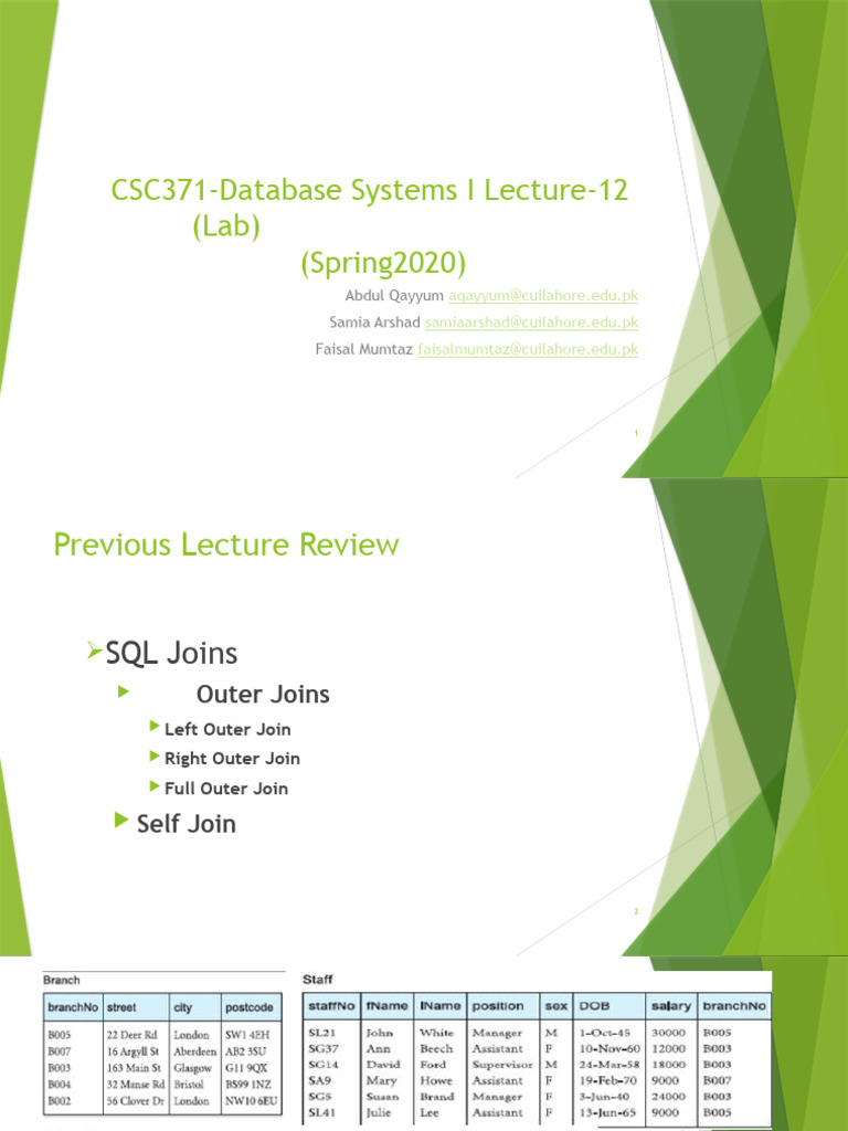 Lec12_Lab_CSC371_Database Systems | PDF | Sql | Application Software