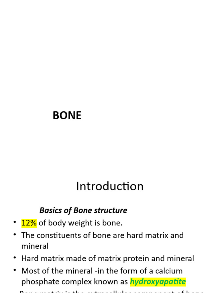 Bone | PDF