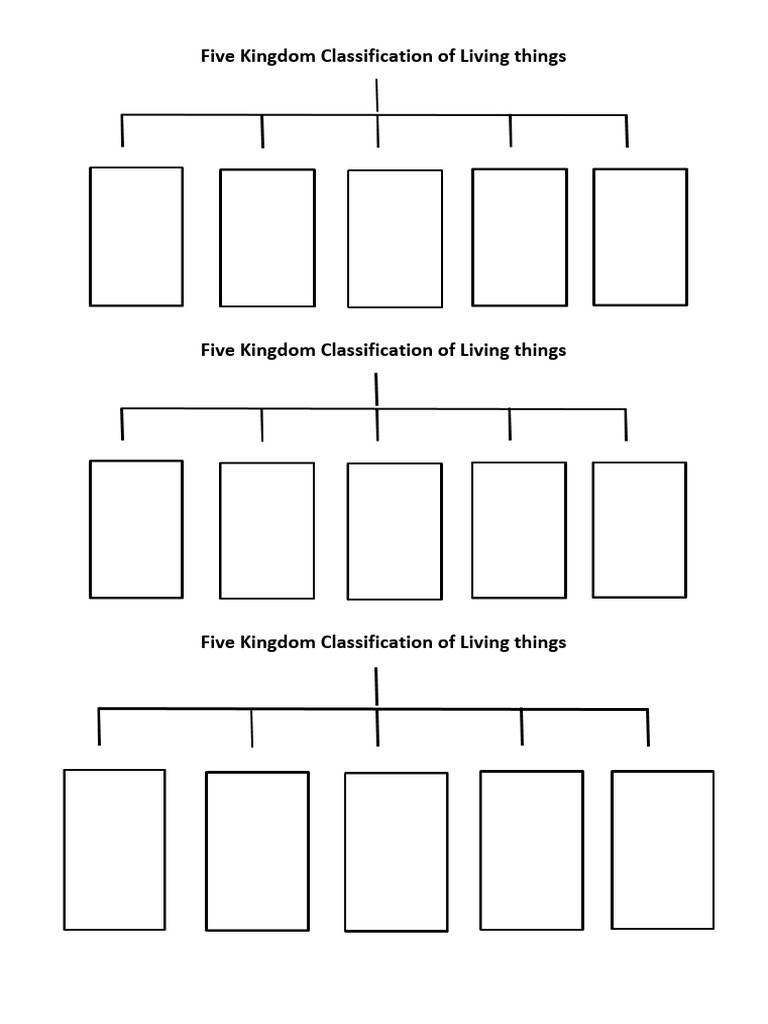 Five kingdom Classification - flow chart worksheet | PDF