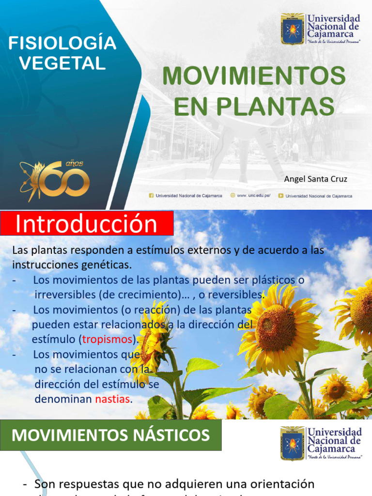 Movimientos Násticos en Plantas | PDF | Hoja | Plantas