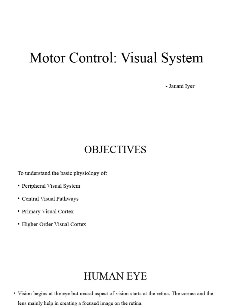 Visual System Physiology Guide | PDF | Visual System | Visual Cortex