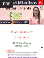 Class 9 Science: Tissues Revision Notes | PDF | Epithelium | Tissue ...