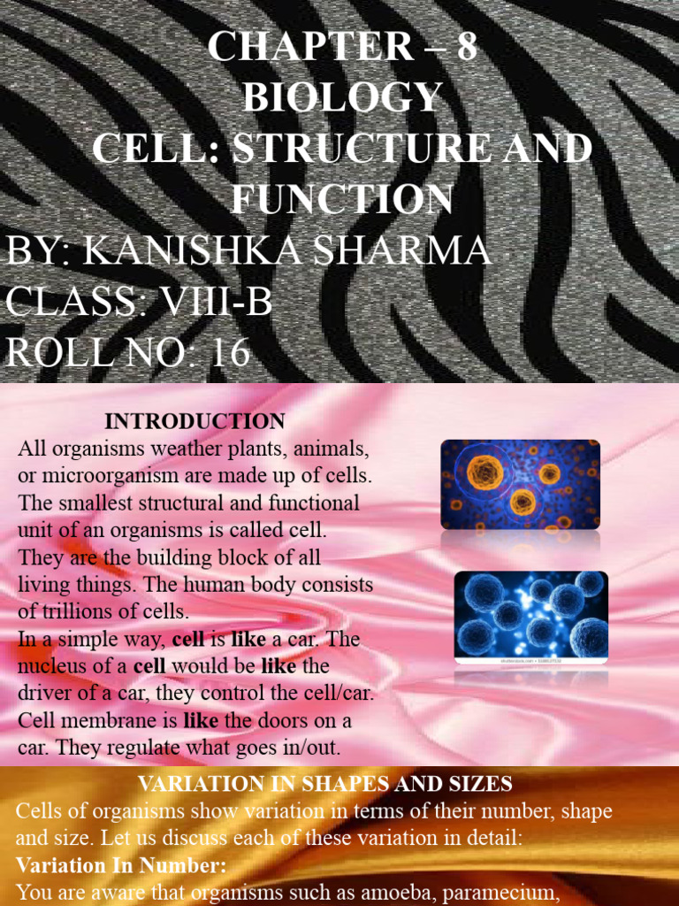 Cell Structure and Function | PDF | Cell (Biology) | Endoplasmic Reticulum