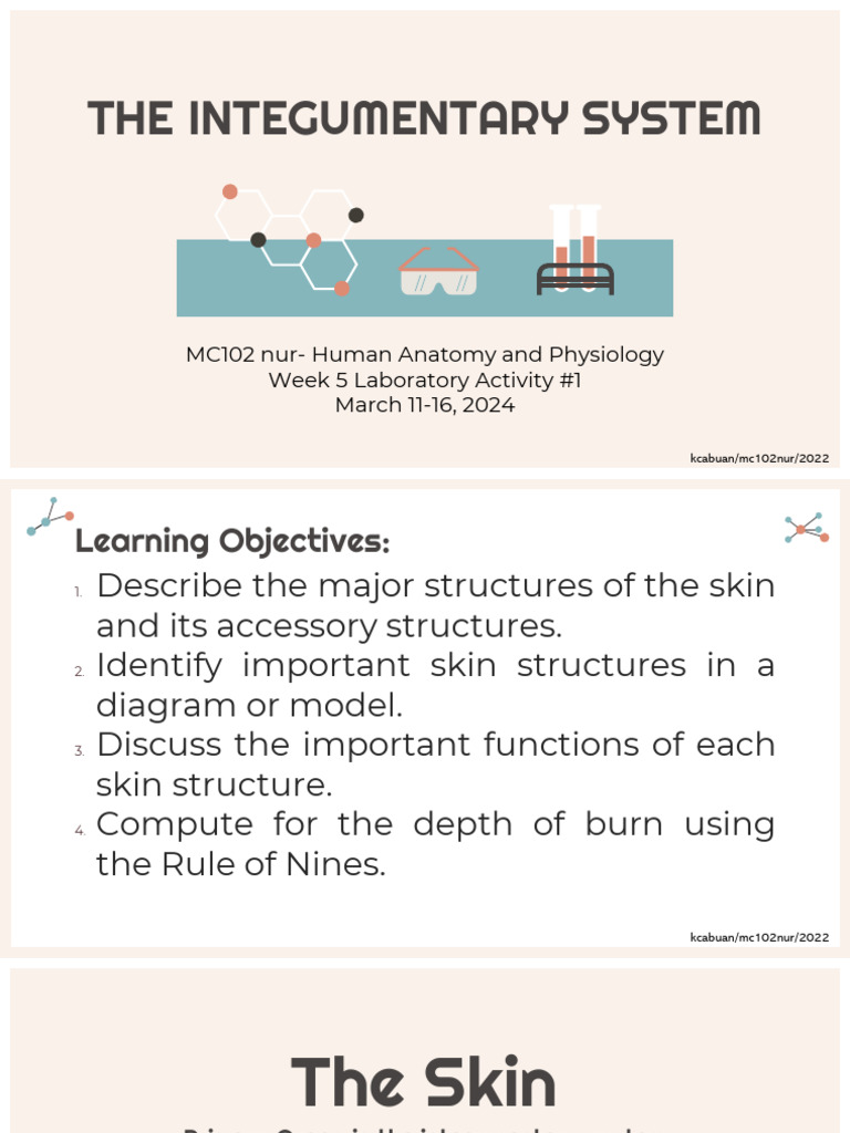 Laboratory Activity 1 On Integumentary System (STUDENT's COPY) | PDF ...