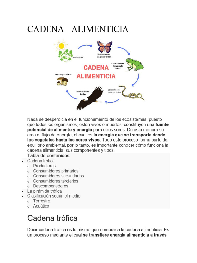 Cadena Alimenticia | PDF