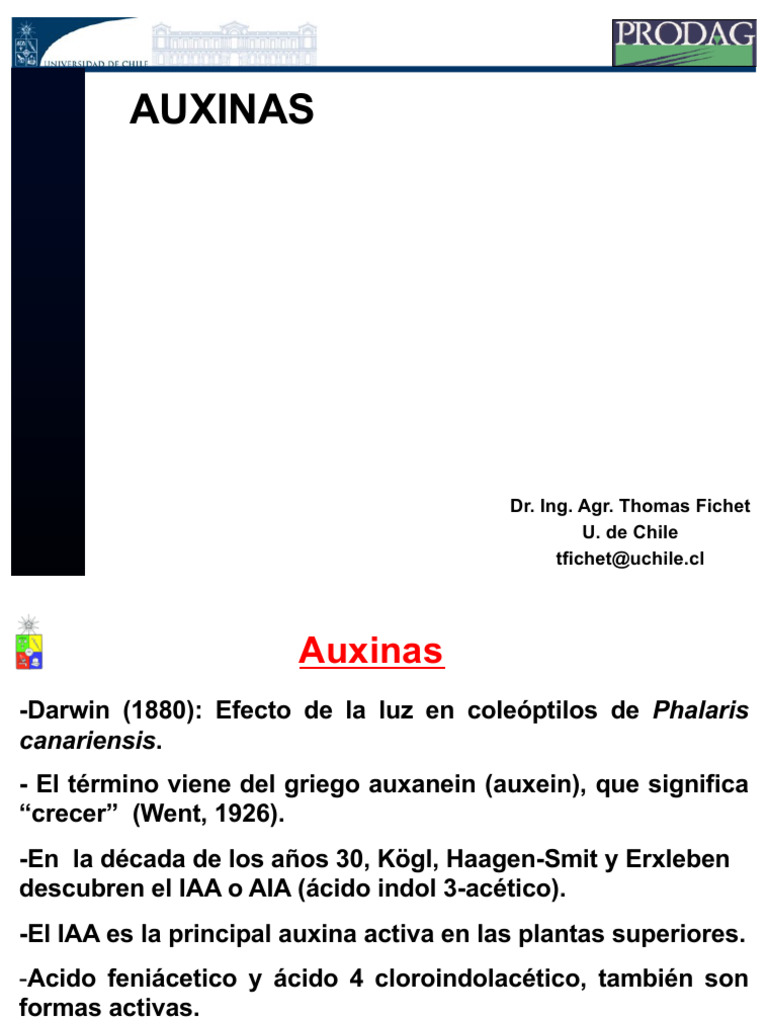 2.- Auxinas | PDF | Auxina | Hormona Vegetal