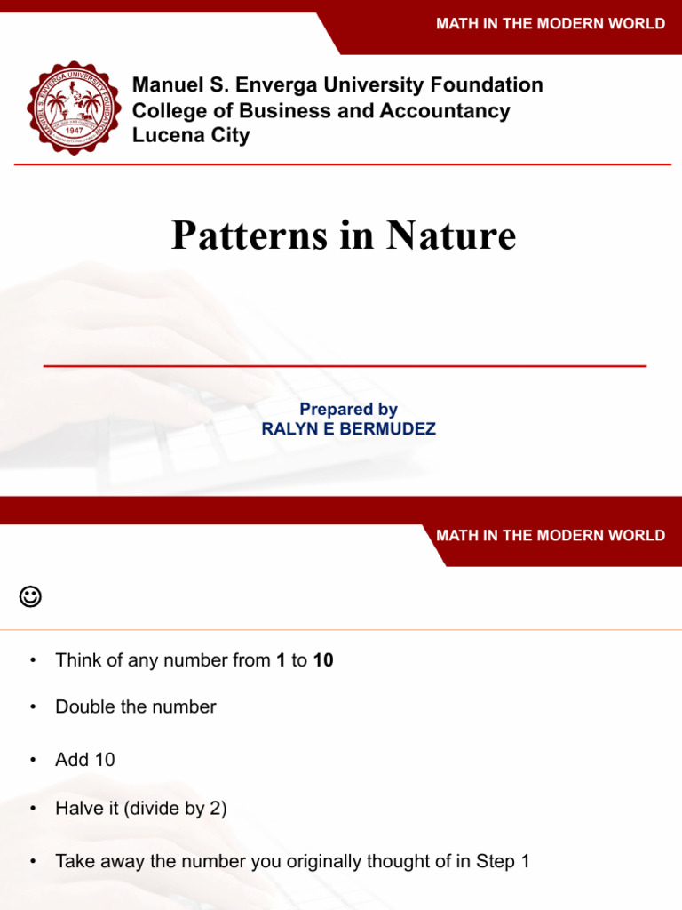 MAMW 100 2 Patterns in Nature | PDF | Pattern | Fractal