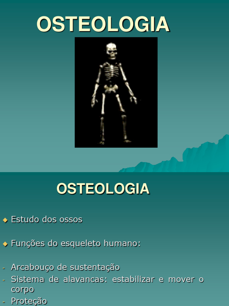 2 OSTEOLOGIA MIOLOGIA ARTROLOGIA | PDF | Osso | Esqueleto