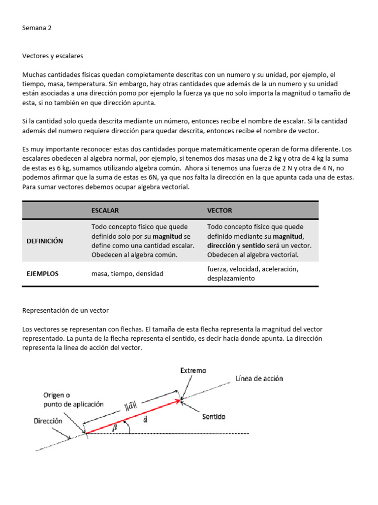 contenidos Vectores y escalares | PDF | Vector Euclidiano | Escalar (Matemáticas)