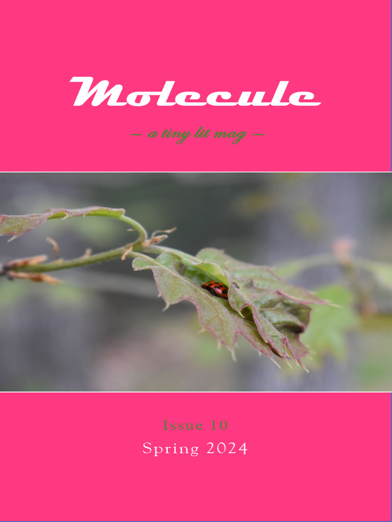 Molecule: A Tiny Lit Mag. Issue 10. Spring 2024. | PDF | Art | Young Adult