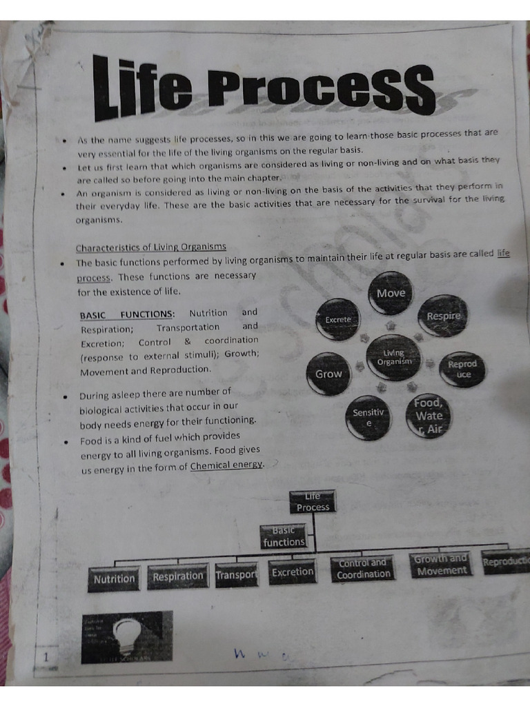Life Process | PDF