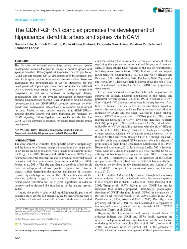 Paper Irala - El Complejo GDFN-GFRa1 Promueve Desarrollo de Dendritas ...