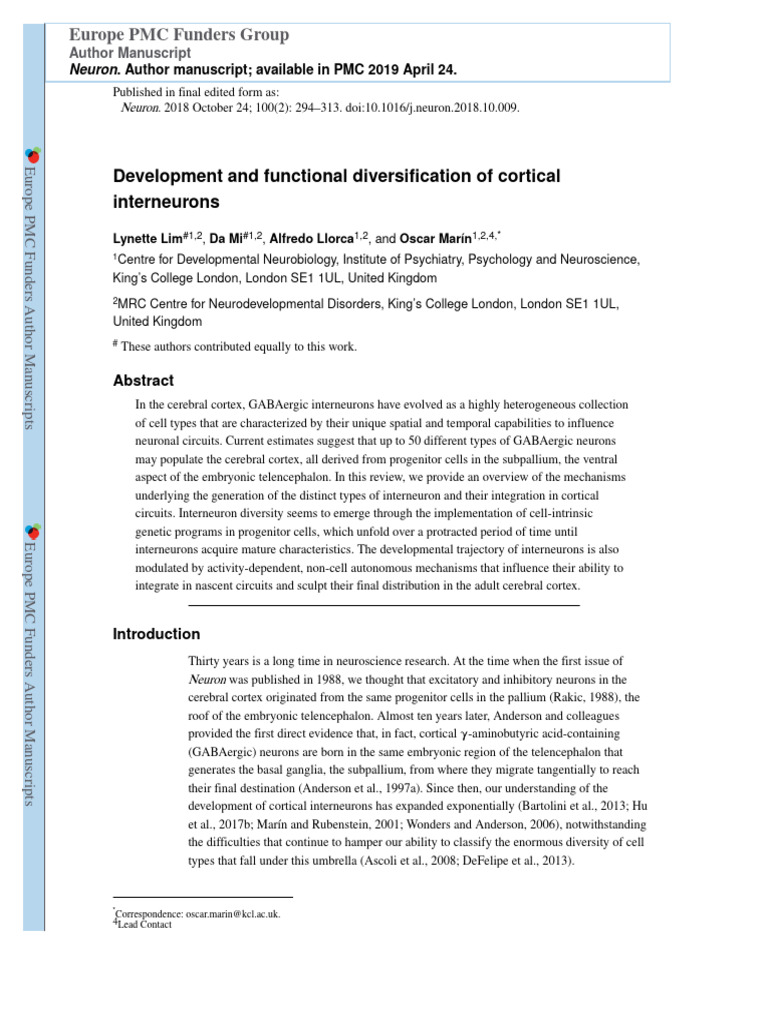 Lynette - Development and Functional Diversification of Cortical ...