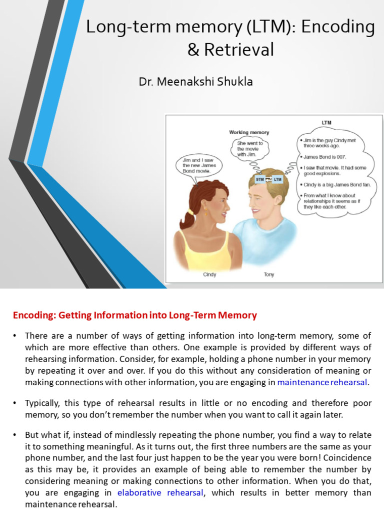 Long Term Memory | PDF | Recall (Memory) | Memory