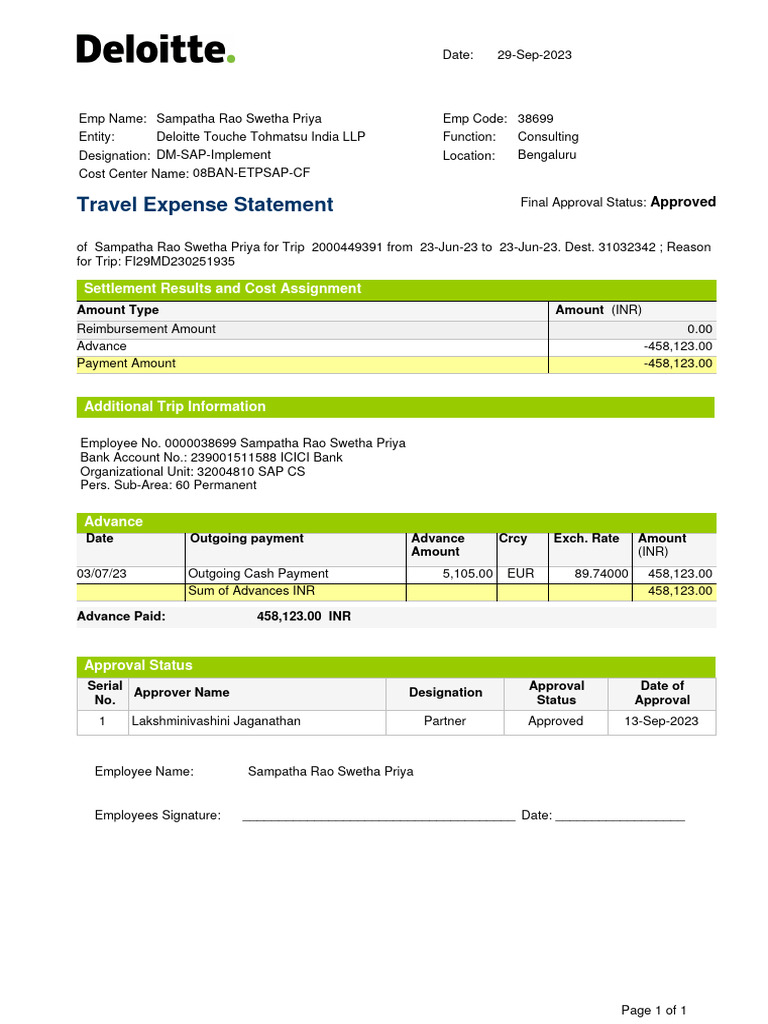 Travel Expense Statement: Settlement Results and Cost Assignment | PDF