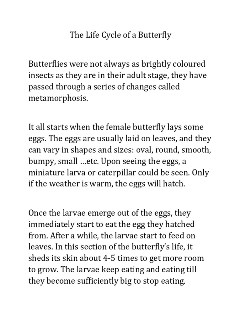 The Life Cycle of A Butterfly | PDF