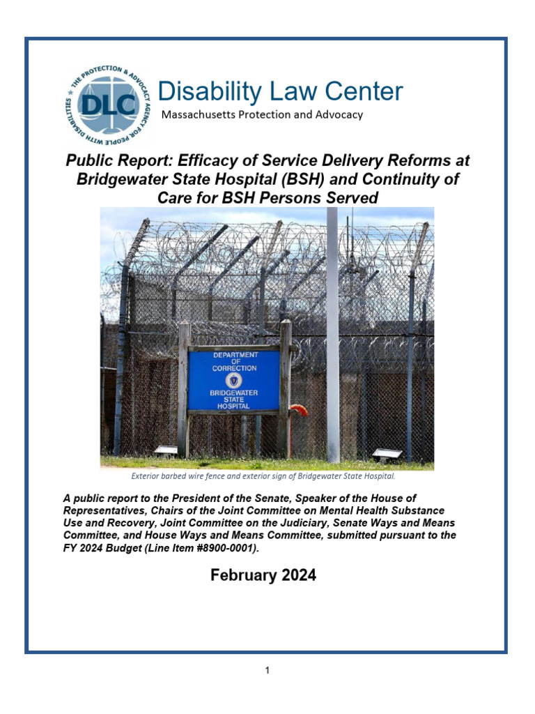DLC BSH Public Report 3.13.2024 | PDF | Race And Ethnicity In The ...