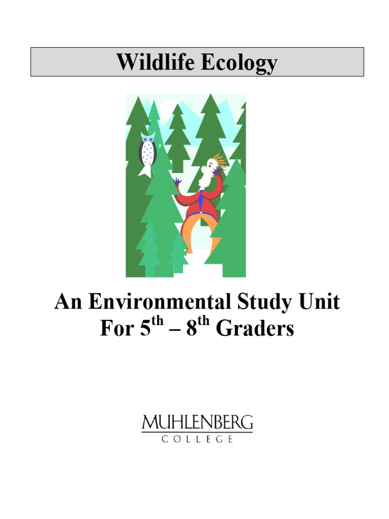 Understanding Food Webs in Ecology | PDF | Ecosystem | Ecology