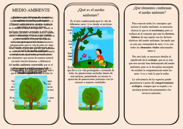 Triptico Del Medio Ambiente 3 | PDF | Entorno natural | Ciencias de la ...