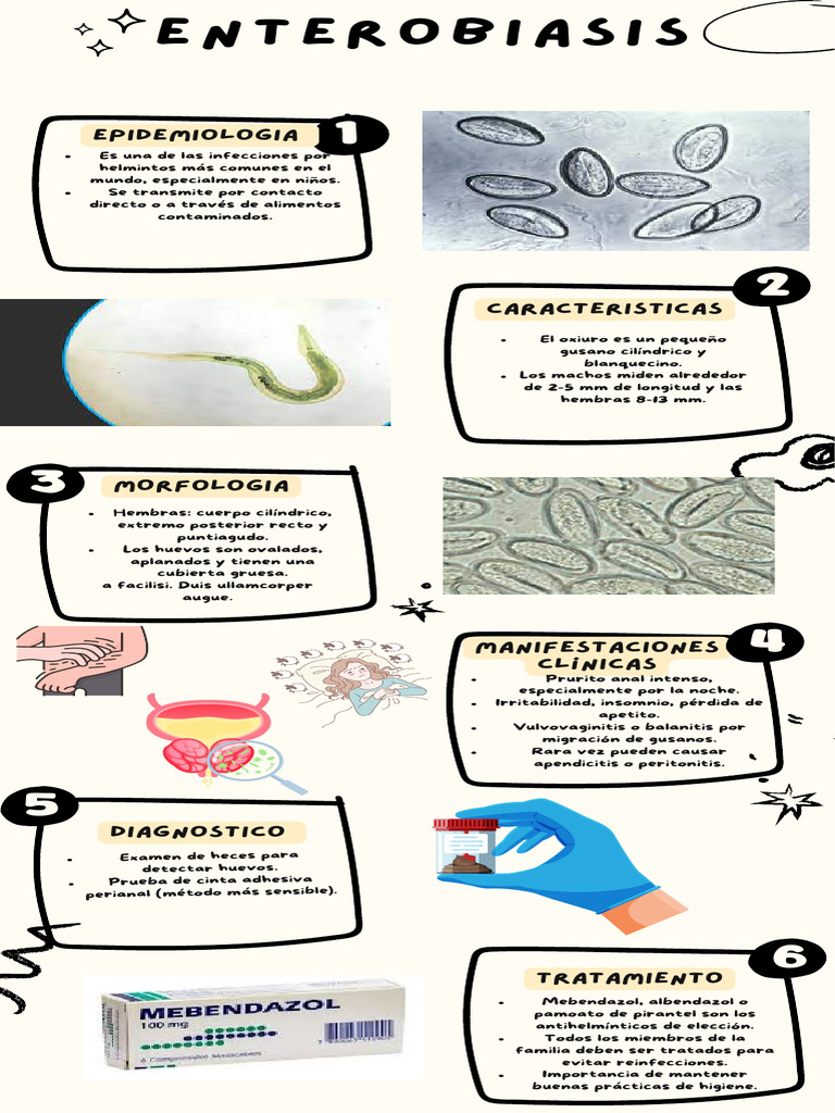 Enterobiasis | PDF | Gastroenterología | Enfermedades y trastornos