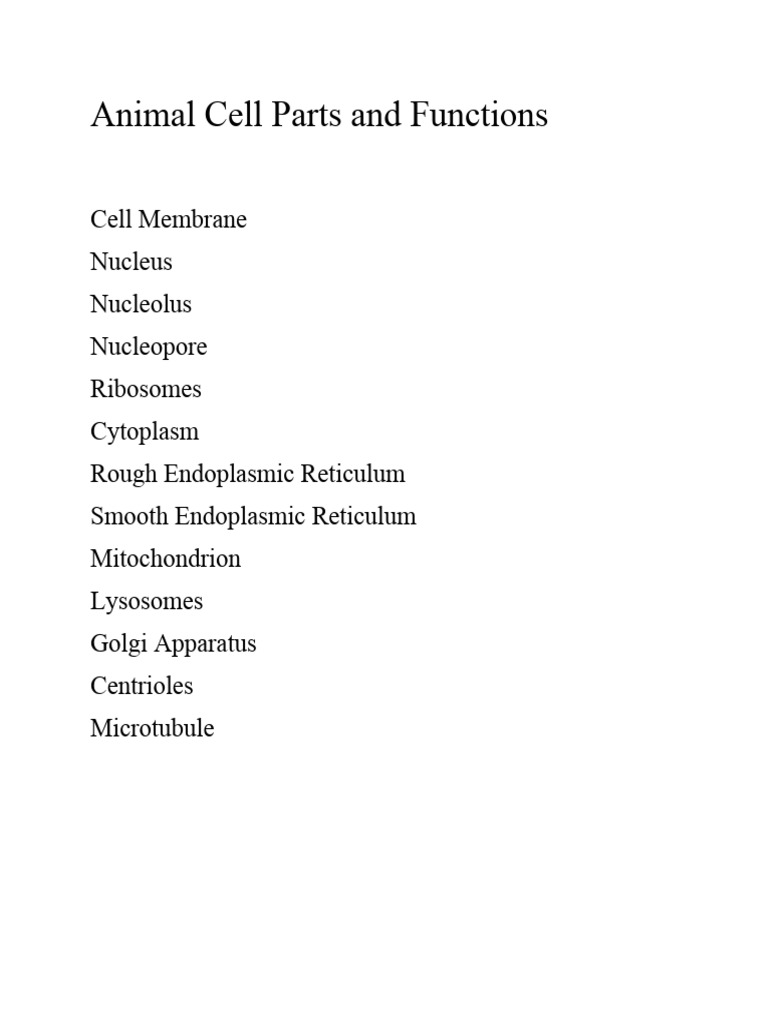 Animal Cell Parts and Functions | PDF | Cell (Biology) | Endoplasmic ...