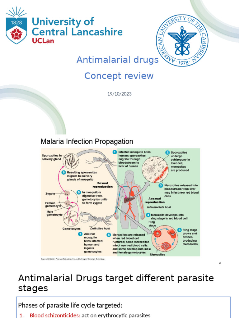Antimalarial Drugs Review - Tagged | PDF | Malaria | Plasmodium Falciparum