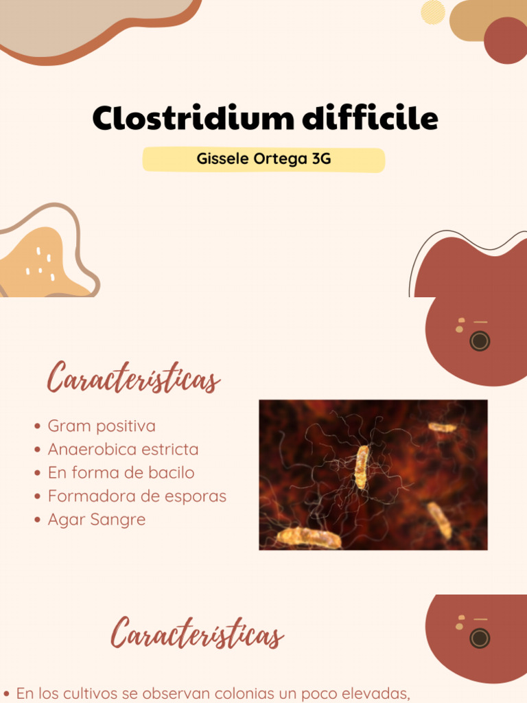 Clostridium Difficile | PDF
