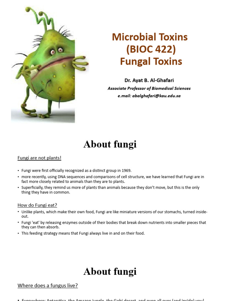 Myco 1 | PDF | Mycotoxin | Fungus