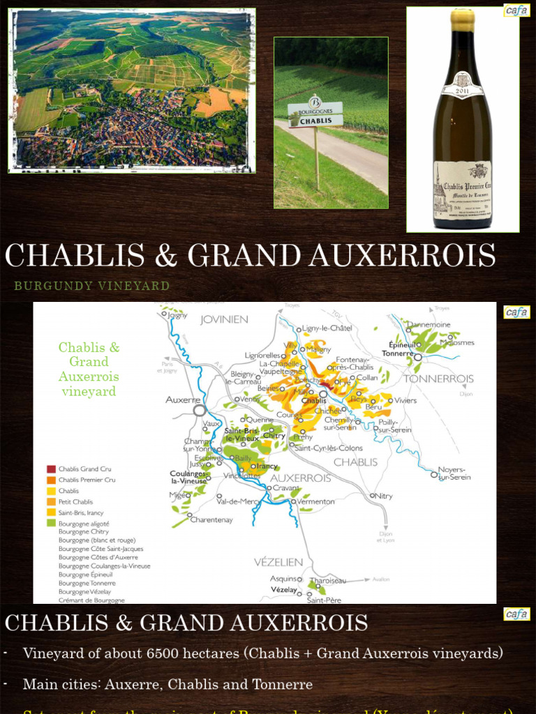 Burgundy Chablis | PDF | Wine | Grape