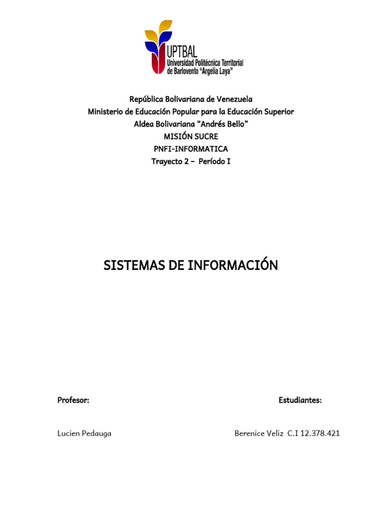 Sistema de Informacion | PDF | Hardware de la computadora | Sistema de informacion