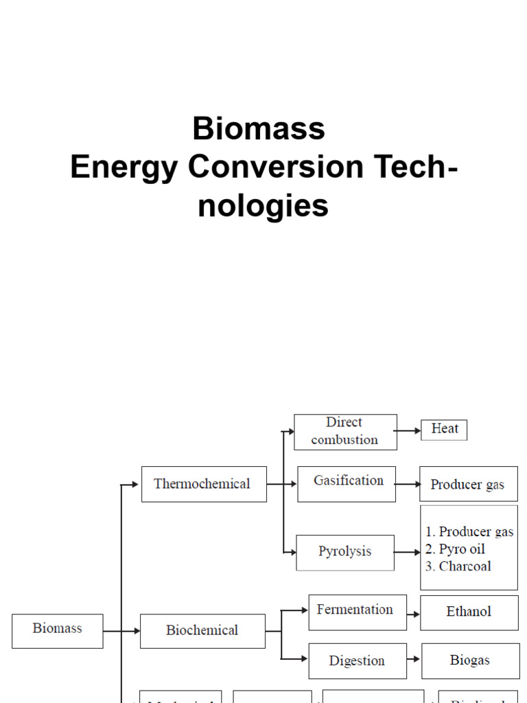 Biomass Energy Conversion Insights | PDF