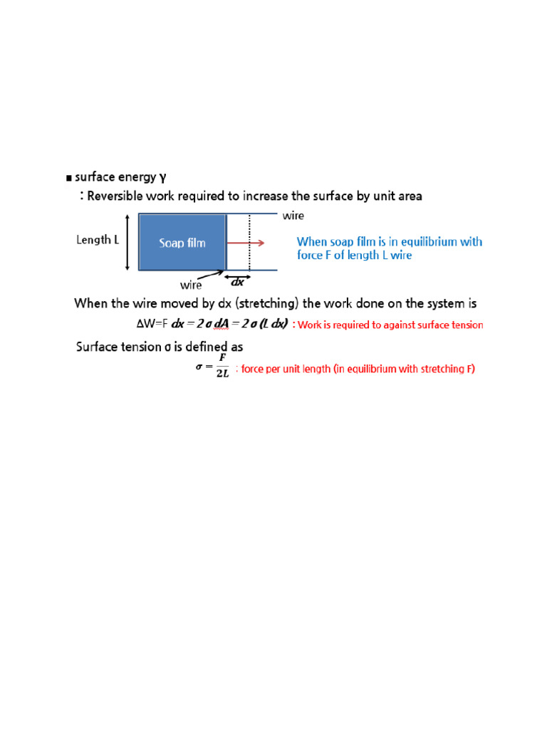 SEYL | PDF