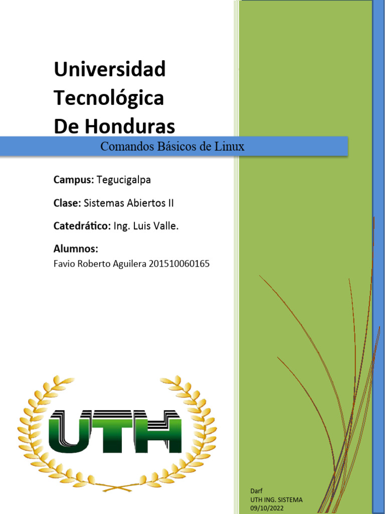 Comandos Basicos | PDF | Archivo de computadora | Software utilitario