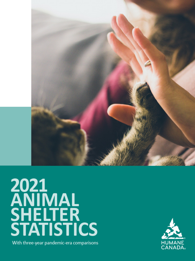 HC Animal Shelter Statistics 2021 Unlocked | Download Free PDF ...