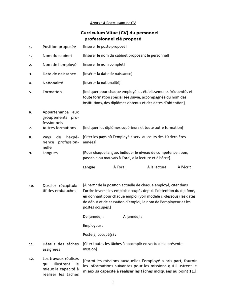 Annexes À Remplir 4 Et 6 | PDF | Consultant | Bilan comptable