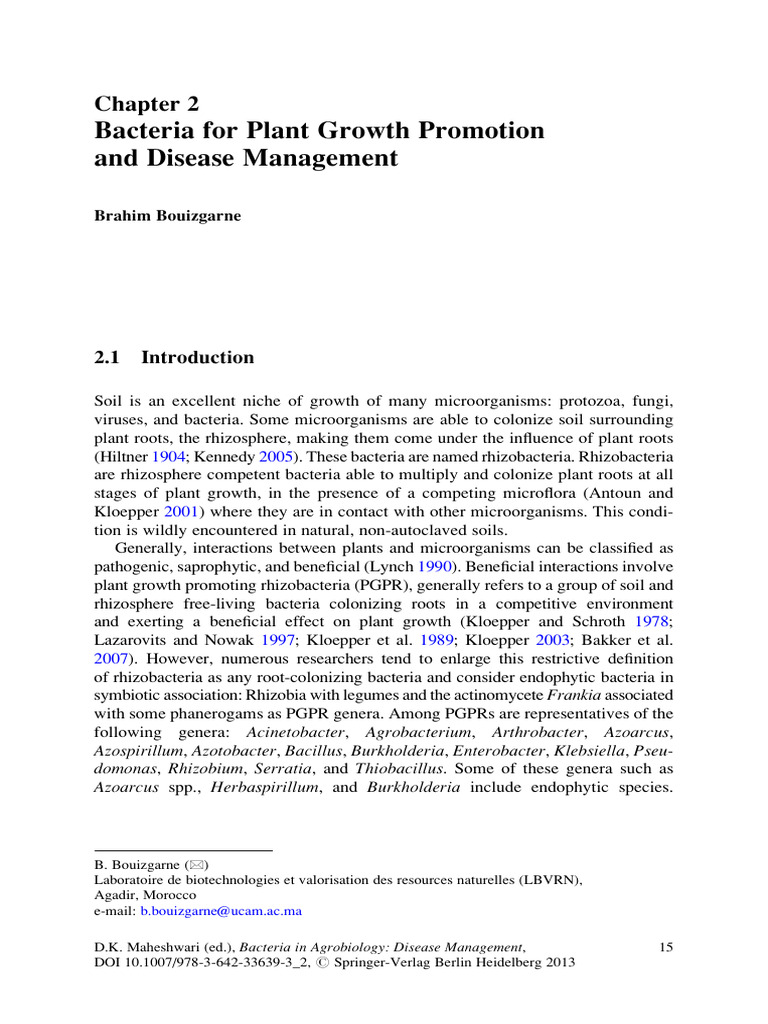 Bacteria For Plant Growth Promotion And Pdf Polymerase Chain